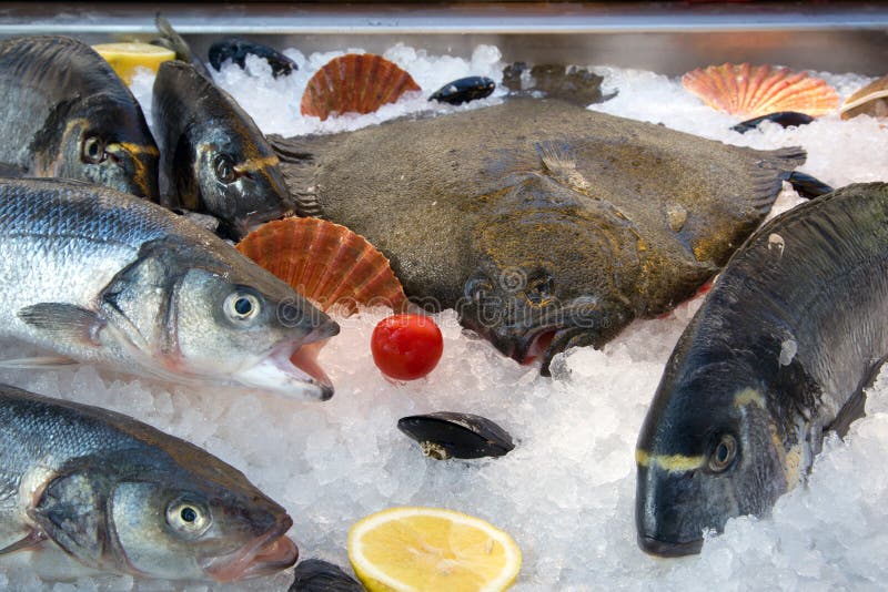 Fresh fish on ice stock image. Image of frozen, marine - 32633737