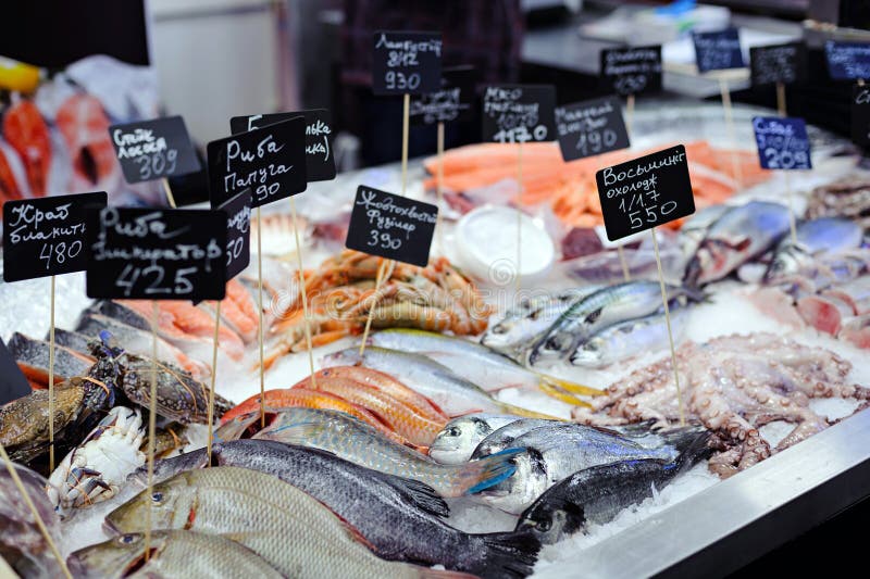 Fresh fish on showcase stock photo. Image of color, nature - 113539356