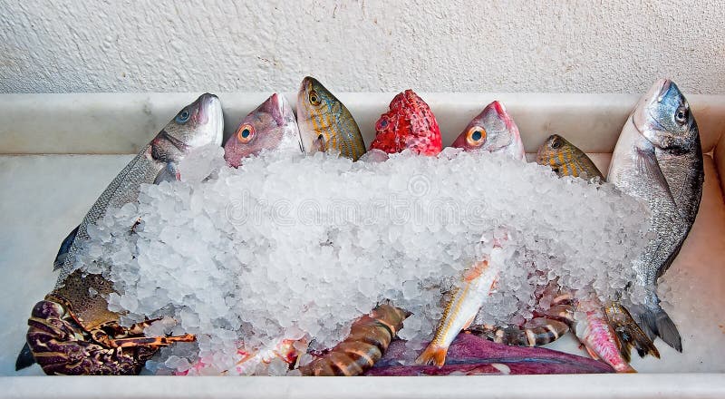 Fresh Fish with Ice on the Tray Stock Photo - Image of cool, cover ...