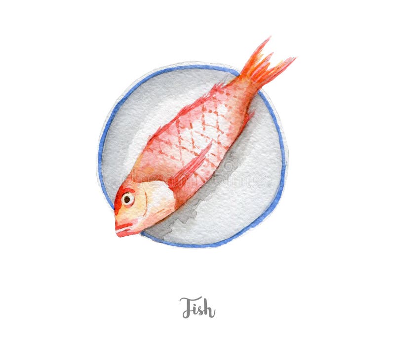 Fresh Fish Illustration. Hand Drawn Watercolor on White Background ...