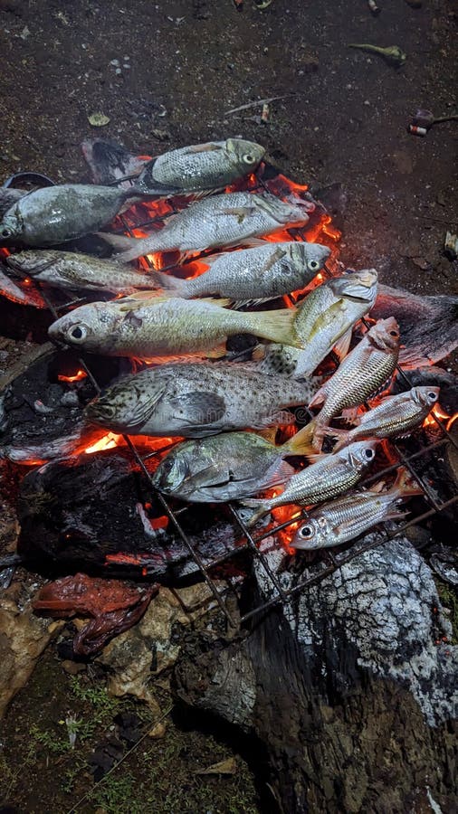 Fresh Fish Just Rising on the Grill Stock Photo - Image of dish, insect ...