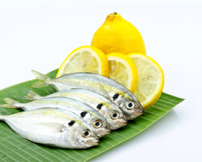 Fresh fish and lemon stock photo. Image of lemon, little - 21828868