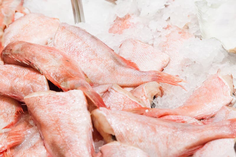 The Fresh Fish Lying in Ice Stock Image - Image of fresh, ingredient ...