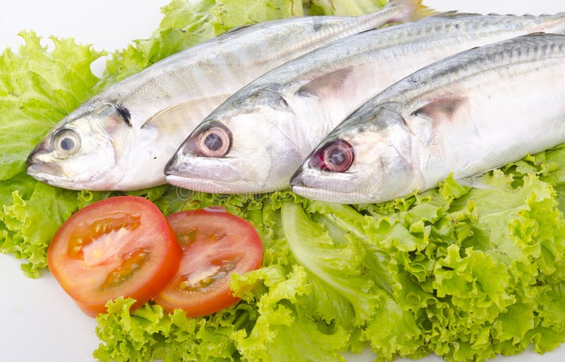 Fresh fish on macro stock photo. Image of gift, gold - 21572644