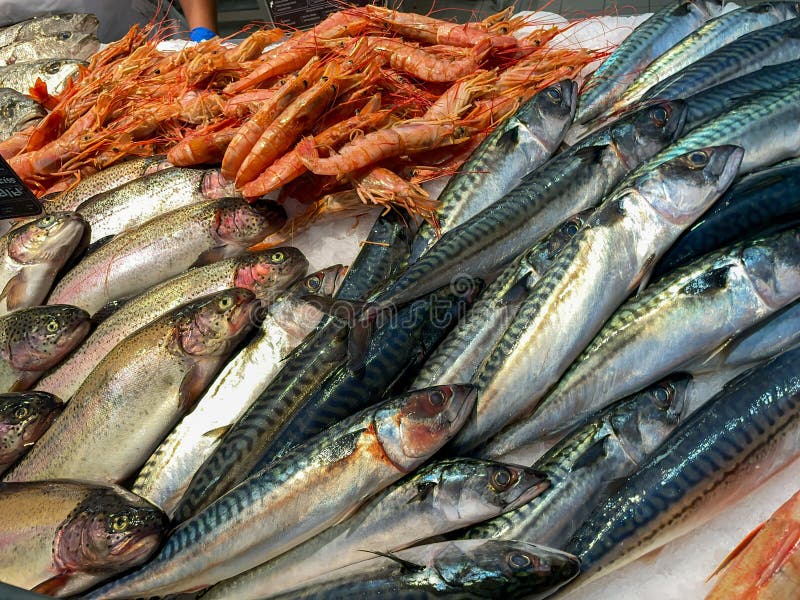Fresh Fish at the Fish Market Stock Photo - Image of vitamin, adriatic ...