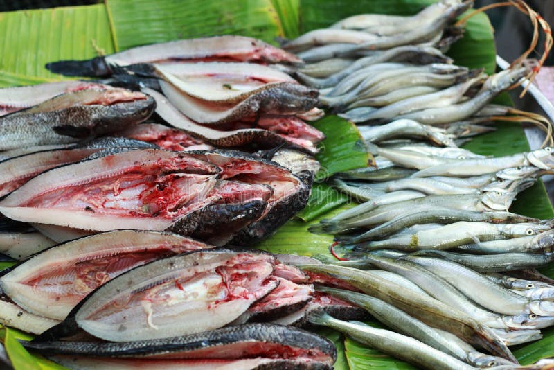 Fresh fish at the market stock photo. Image of food, healthful - 38212414