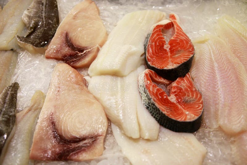 Dead fish stock image. Image of destination, beauty, fish - 9258435