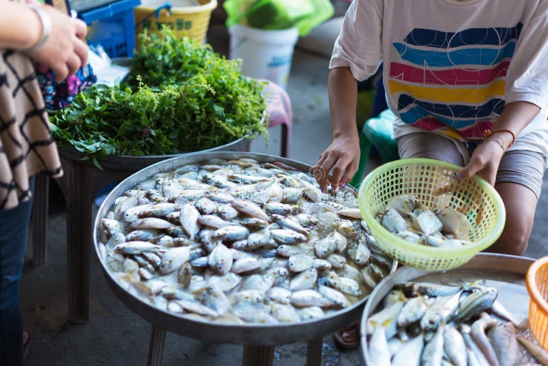Fresh Fish Market in Asian with Soft Light Stock Image - Image of bream ...