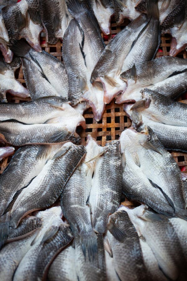 Fresh Fish on the Market in Bangkok Stock Image - Image of chinese ...