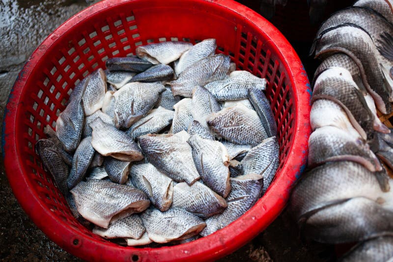 Fresh Fish on the Market in Bangkok Stock Image - Image of fish, travel ...