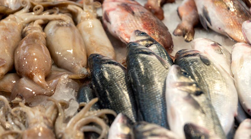 Fresh Fish at the Fish Market Stock Image - Image of fish, nutrition ...