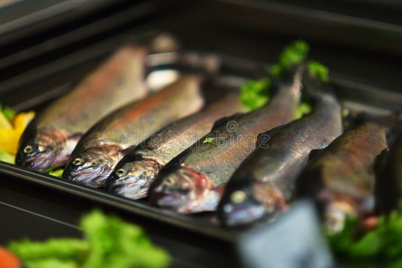Fresh fish in the market stock photo. Image of meal, chef - 87855566