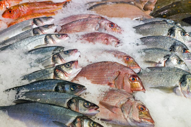 Fresh fish at the market stock image. Image of nutrition - 35413939