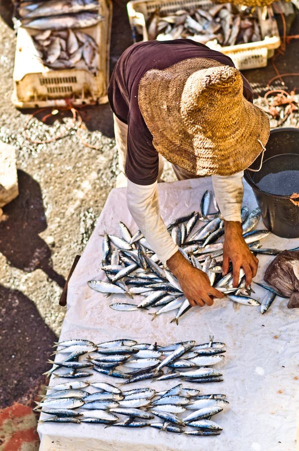 Fresh Fish Market on Essaouira in Morocco Stock Image - Image of ...