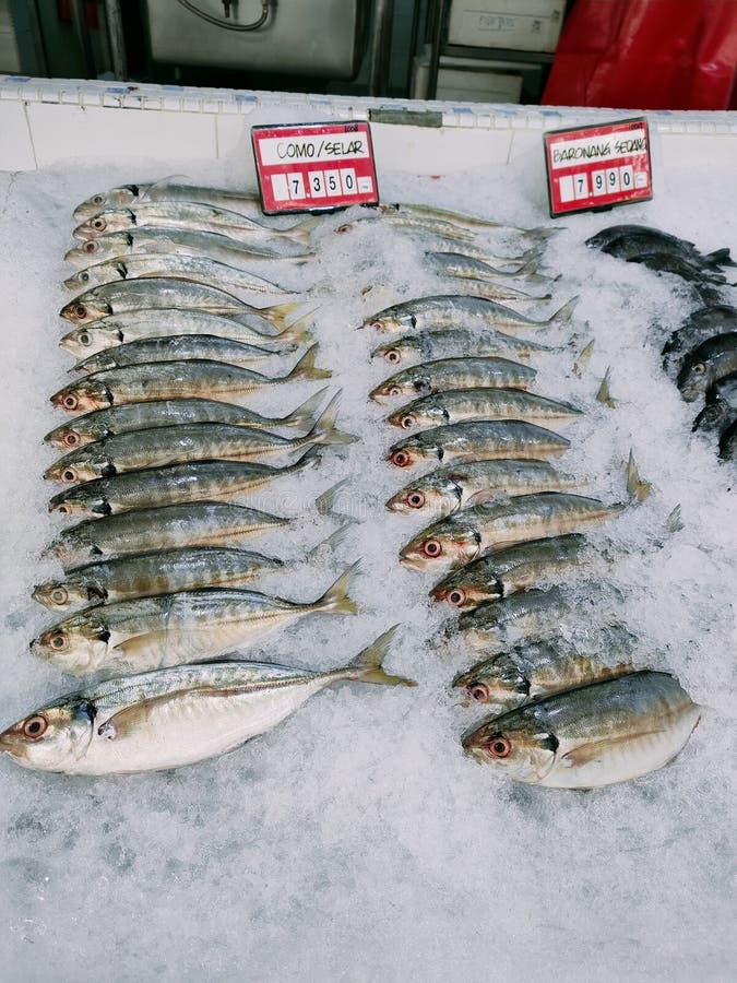 Fresh fish on market stock image. Image of street, food - 271743467