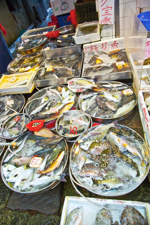 Fresh fish at the market stock photo. Image of hongkong - 59221108