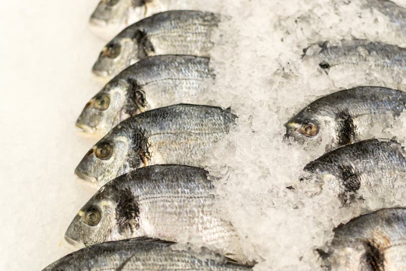 Fresh Fish at Market on Ice Background Stock Photo - Image of dinner ...