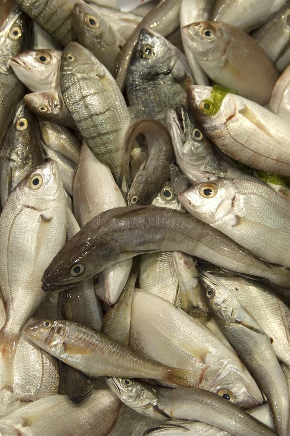 Fresh fish at market place stock image. Image of plaice - 10627797