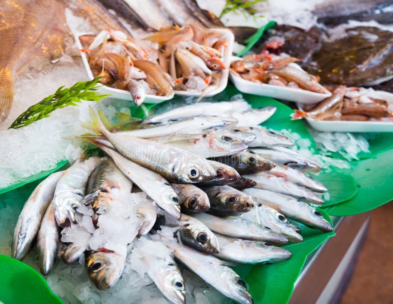Fresh fish on market stock image. Image of monkfish - 205628019