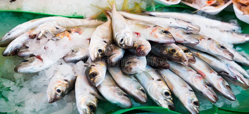 Fresh fish on market stock image. Image of food, angler - 89222497