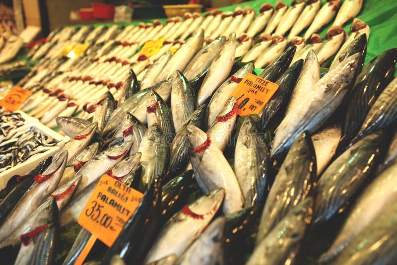Fresh Fish at the Fish Market in Turkey, Different Types of Seafood ...