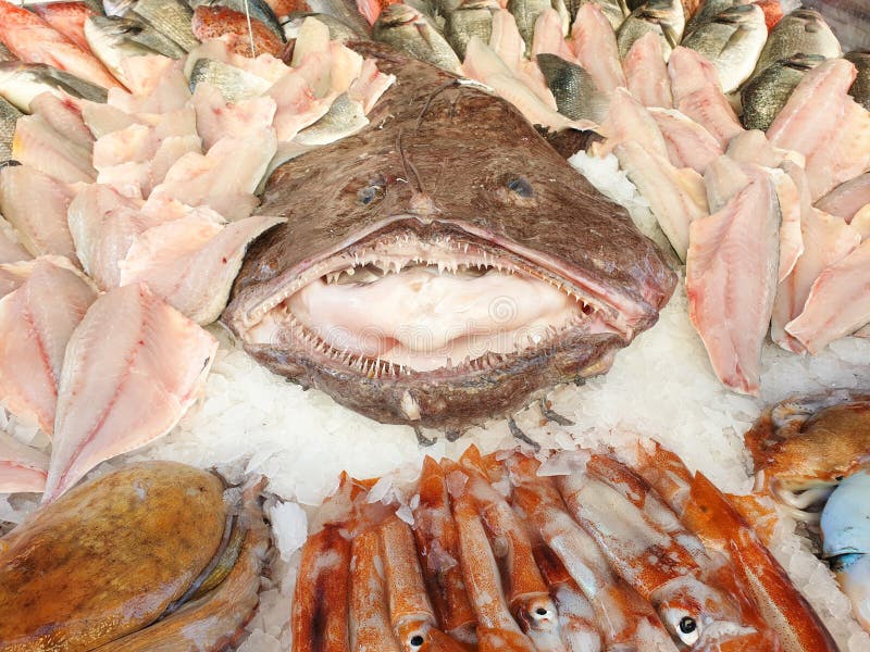 Fresh Fish and Monkfish at Market Stock Photo - Image of market ...