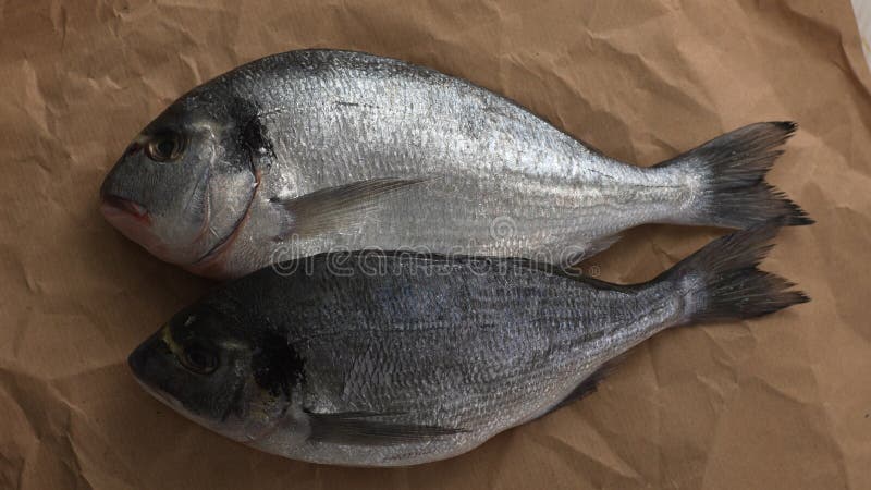 Fresh Fish on a Paper-covered Surface. Stock Photo - Image of cooking ...