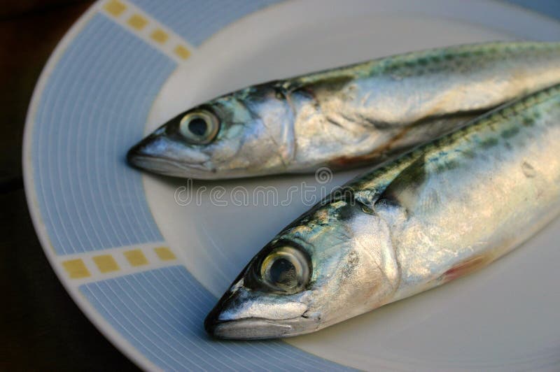 Fresh fish on the plate stock photo. Image of preparation - 56691902
