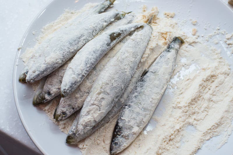 Fresh Fish in a Plate with Flour Stock Image - Image of anchovy, fish ...