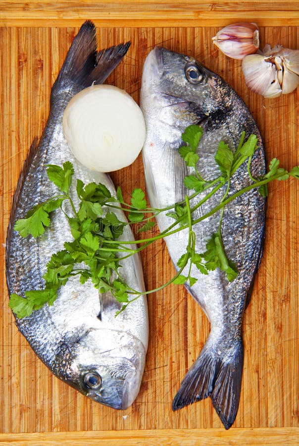 Fresh fish on a plate stock image. Image of gourmet - 211296397