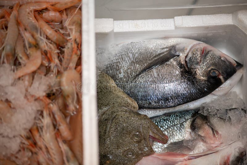 Fresh Fish in a Polystyrene Container Stock Photo - Image of closeup ...