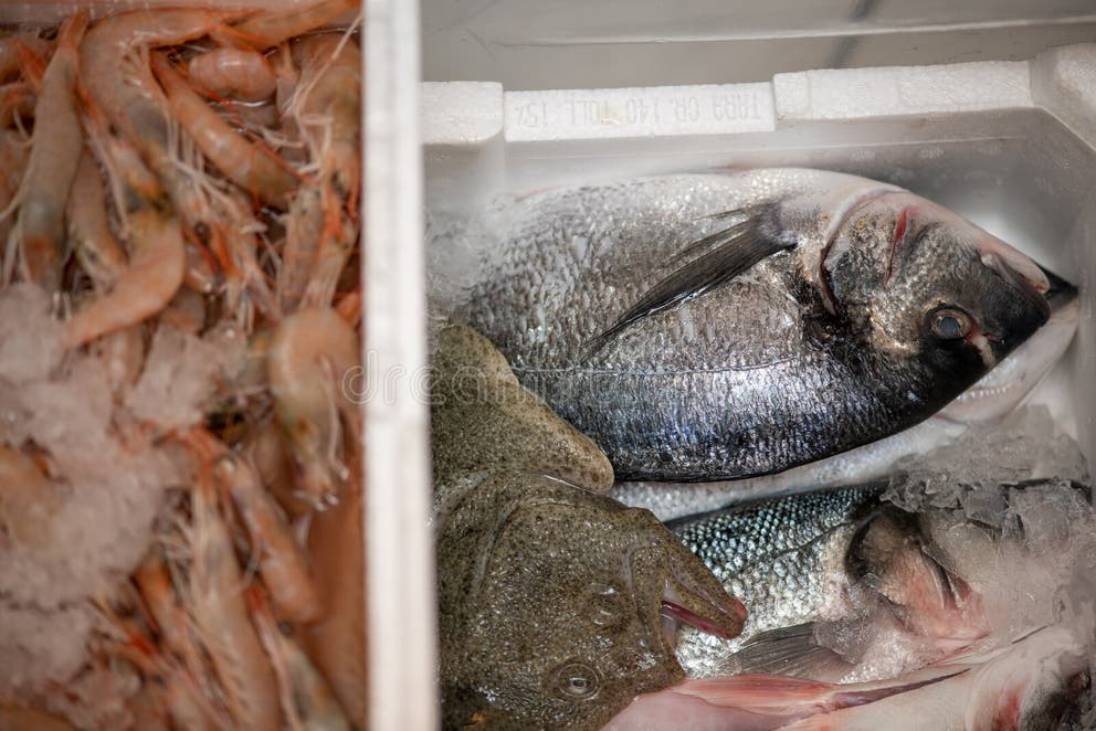 Fresh Fish in a Polystyrene Container Stock Photo - Image of closeup ...