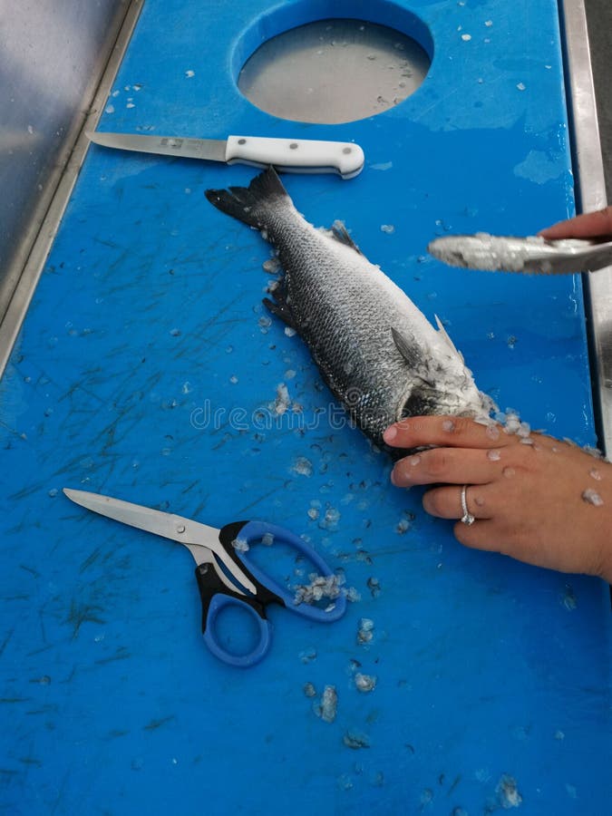 The Fresh Fish is Professionally Cleaned Under Running Water by a ...