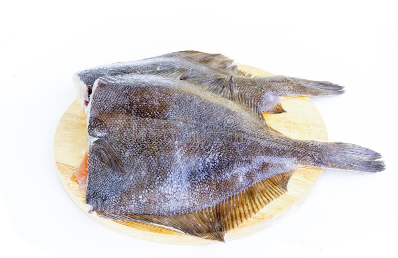 Fresh flounder fish stock photo. Image of white, fish - 33923968