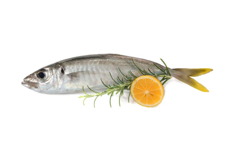 Fresh fish stock image. Image of healthy, natural, single - 53880039