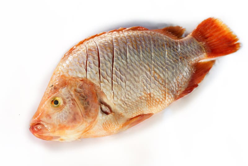 Fresh Fish Ready for Cooking Stock Image - Image of grunge, plate: 61226853