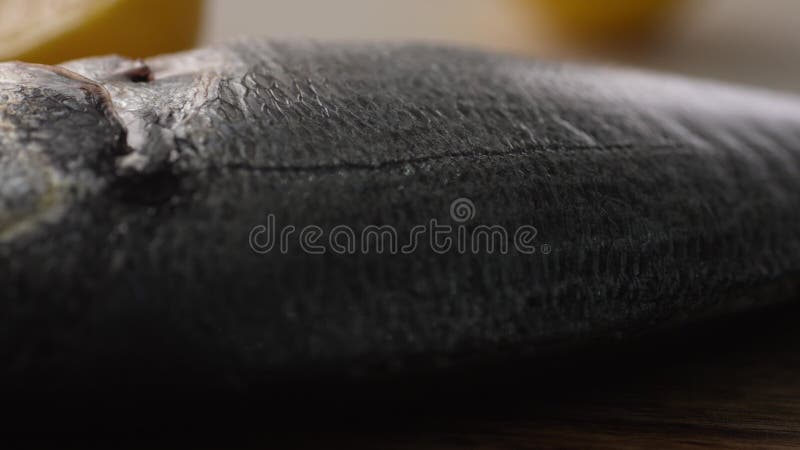 Fresh Fish Ready for Culinary Preparation. Stock Footage - Video of ...