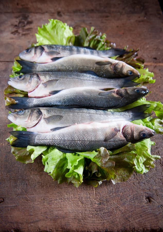 Fresh Seabass Ready To Cook Stock Image - Image of fish, food: 30178405
