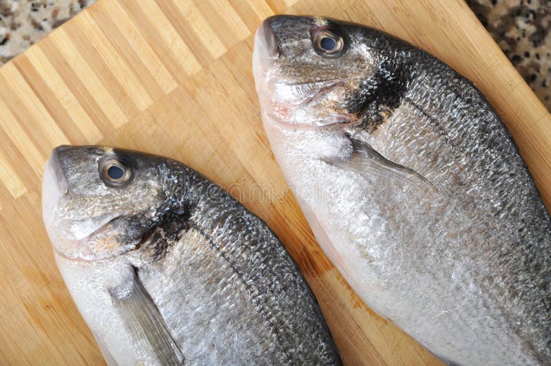 Fresh fish stock photo. Image of culinary, gourmet, gill - 68907890