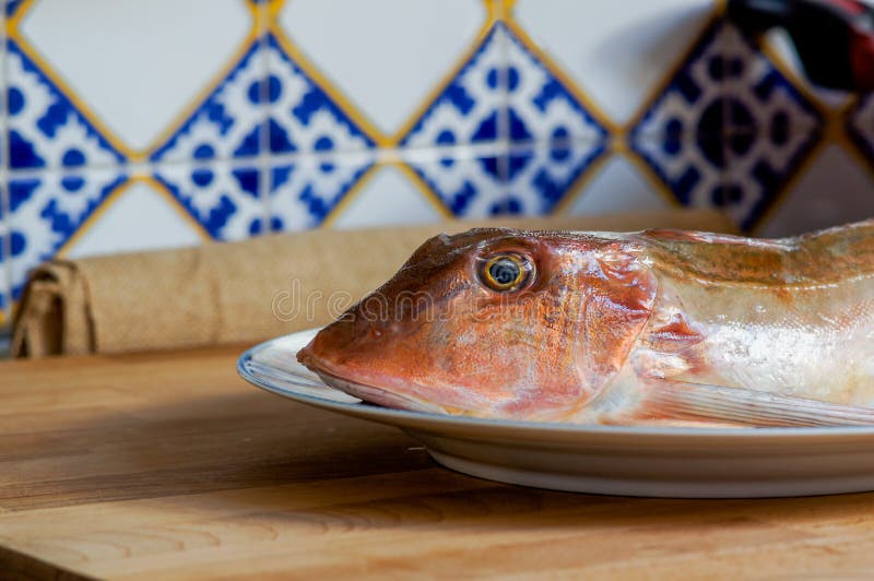 Fresh fish with red scales stock image. Image of gilt - 90322299