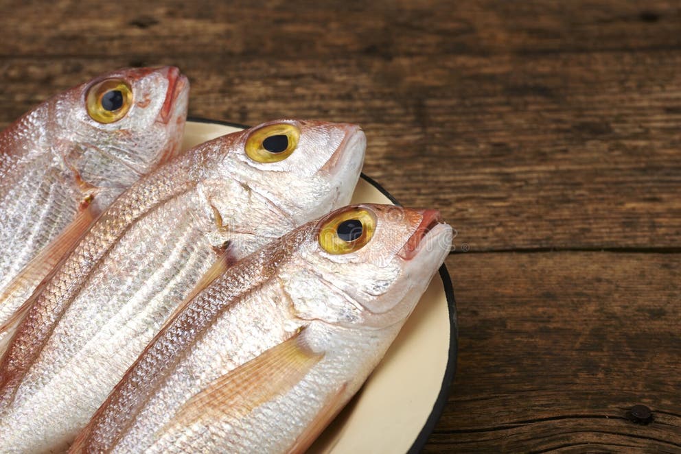 Fresh fish, red snapper stock photo. Image of bream, meal - 36912136