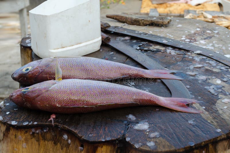 Fresh Fish Red Snapper or Threadfin Bream before Cooking on the Cutting ...