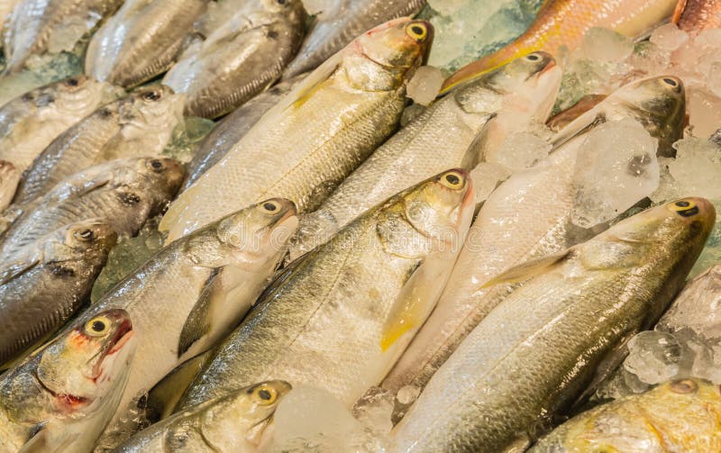 Fish Sale at the Dock Seafood Market Stock Photo - Image of pier ...