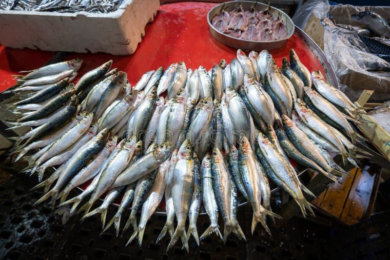 Fresh Fish Sale on the Market Stall Stock Photo - Image of tuna ...