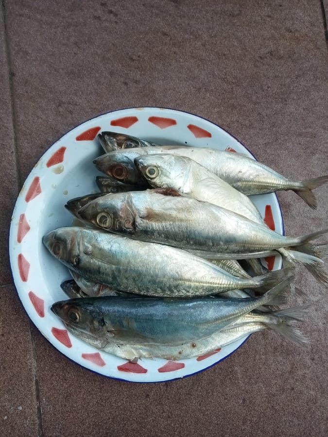 Fresh fish babeque stock image. Image of babeque, indonesia - 317490591