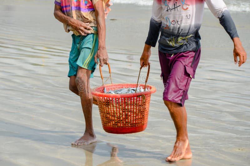 Fresh fish from the sea editorial photo. Image of natural - 78712871