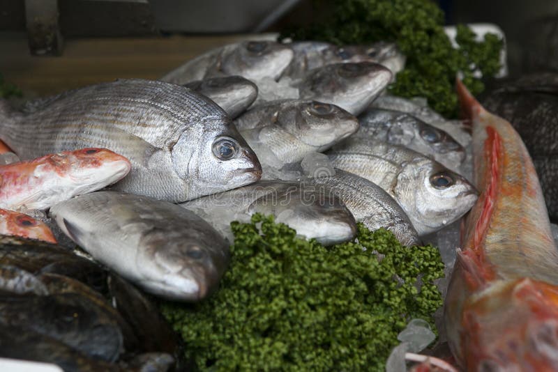 Fresh Fish and Seafood on Display in Fish Market Stock Image - Image of ...