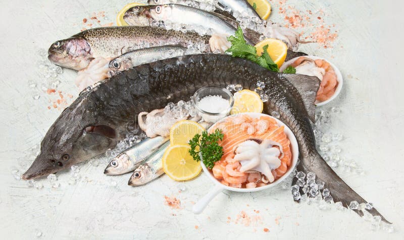 Fresh fish and seafood stock photo. Image of table, healthy - 155704678