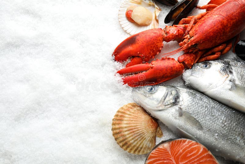 Fresh Fish and Seafood on Ice, Flat Lay Stock Photo - Image of market ...