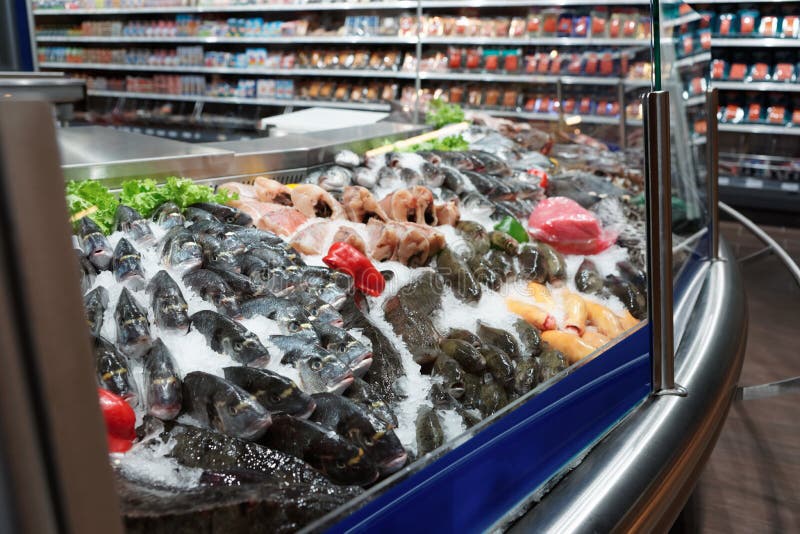 Fresh Fish and Seafood on Iced Market Display Stock Image - Image of ...